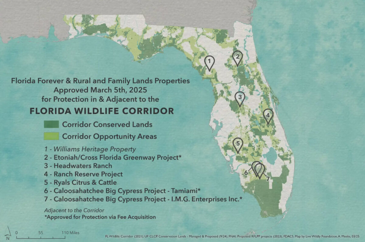 Florida Expands Conservation Efforts with 19,000 Acres Added to ...